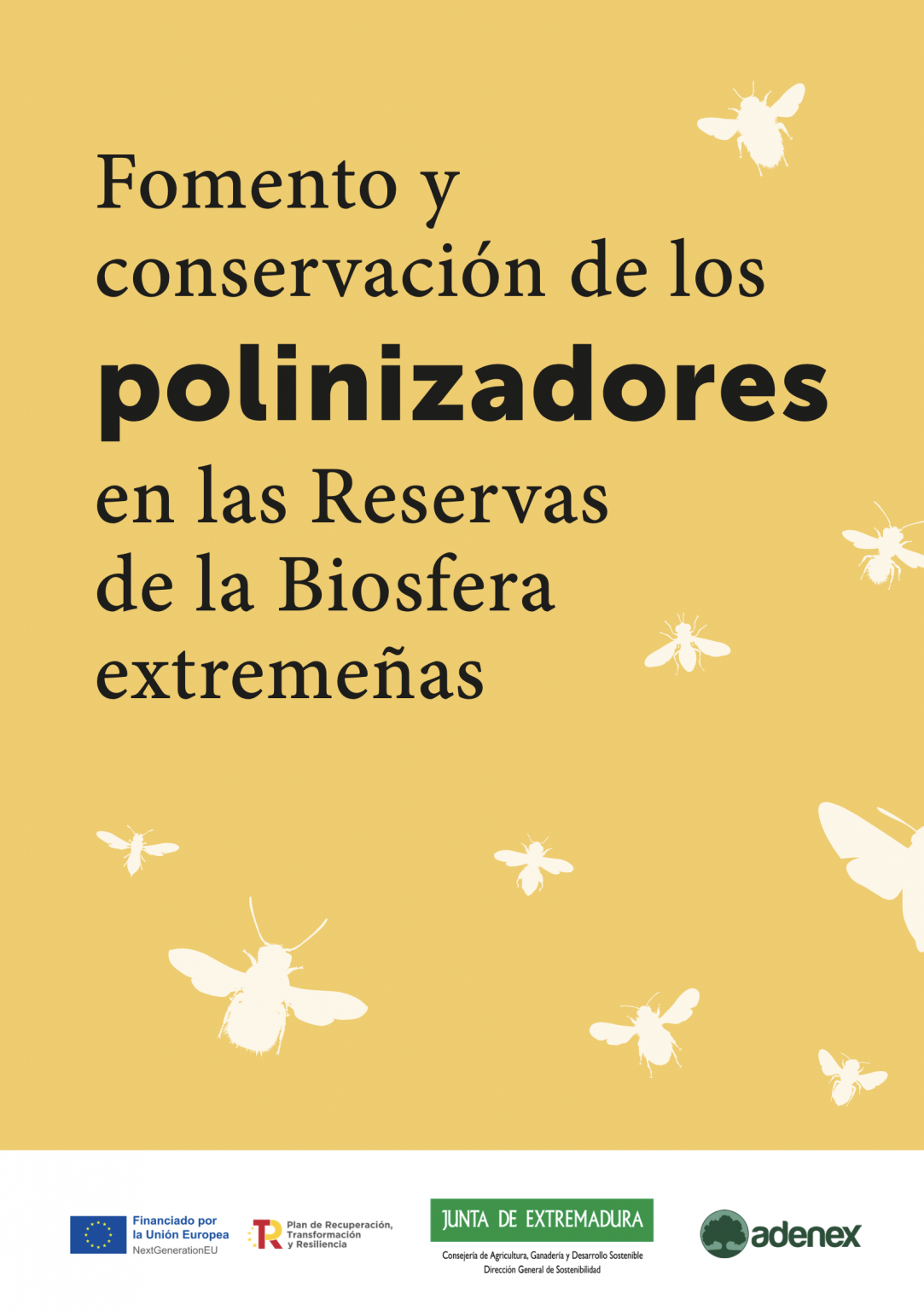 ADENEX - Pelopantón