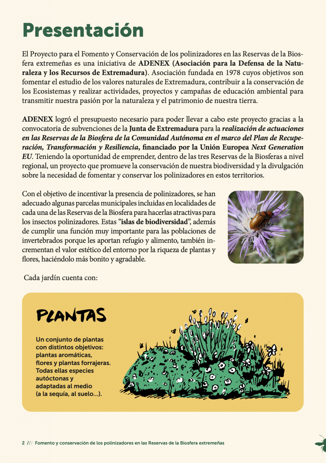 ADENEX - Pelopantón